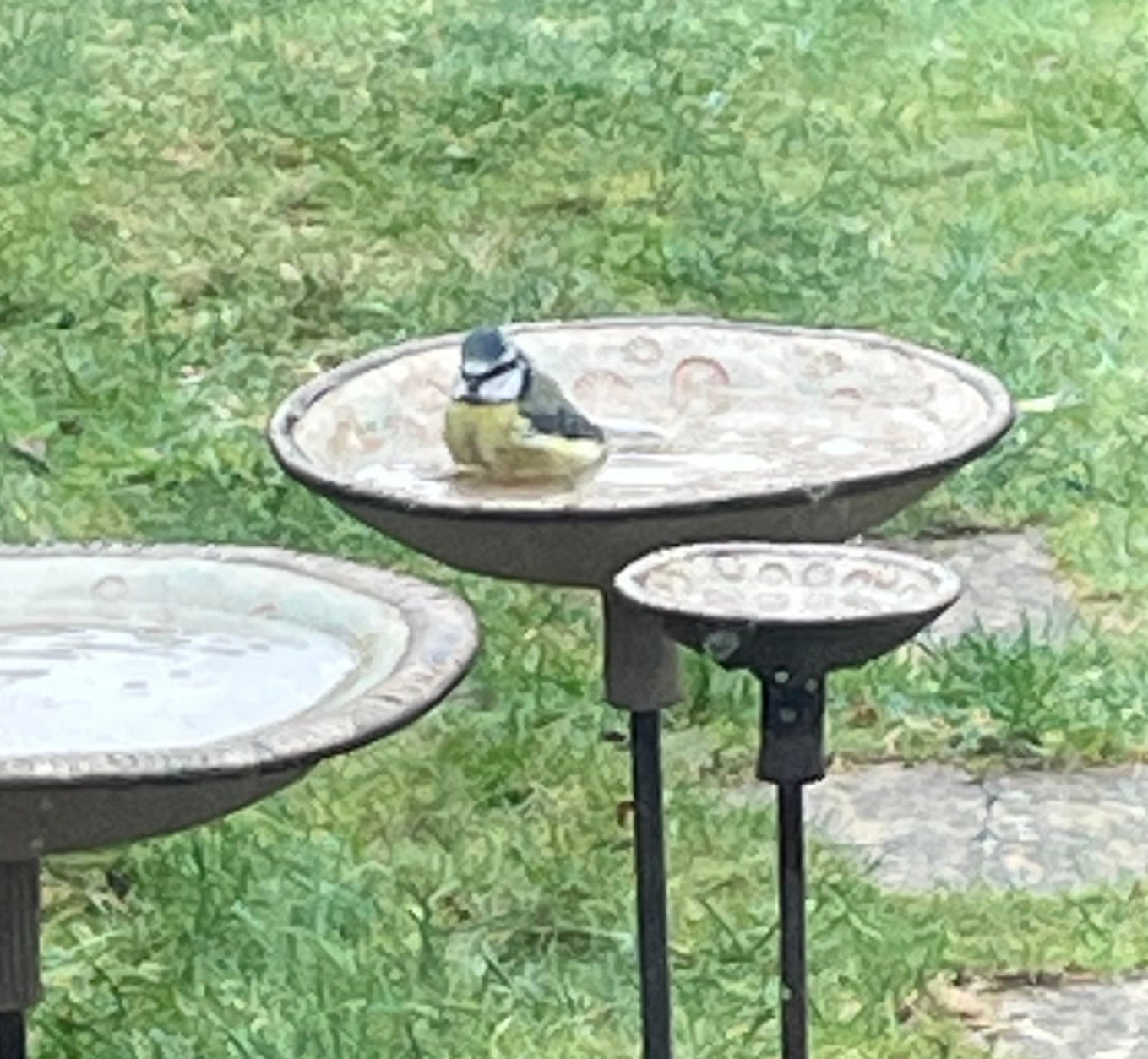 Bird Bath - Cow Parsley – Emma Godden Ceramics
